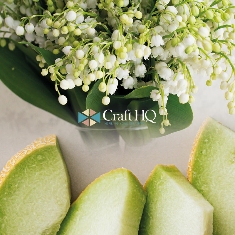 Melon & Muget Fragrance Oil for Candles & Wax Melts – Craft HQ