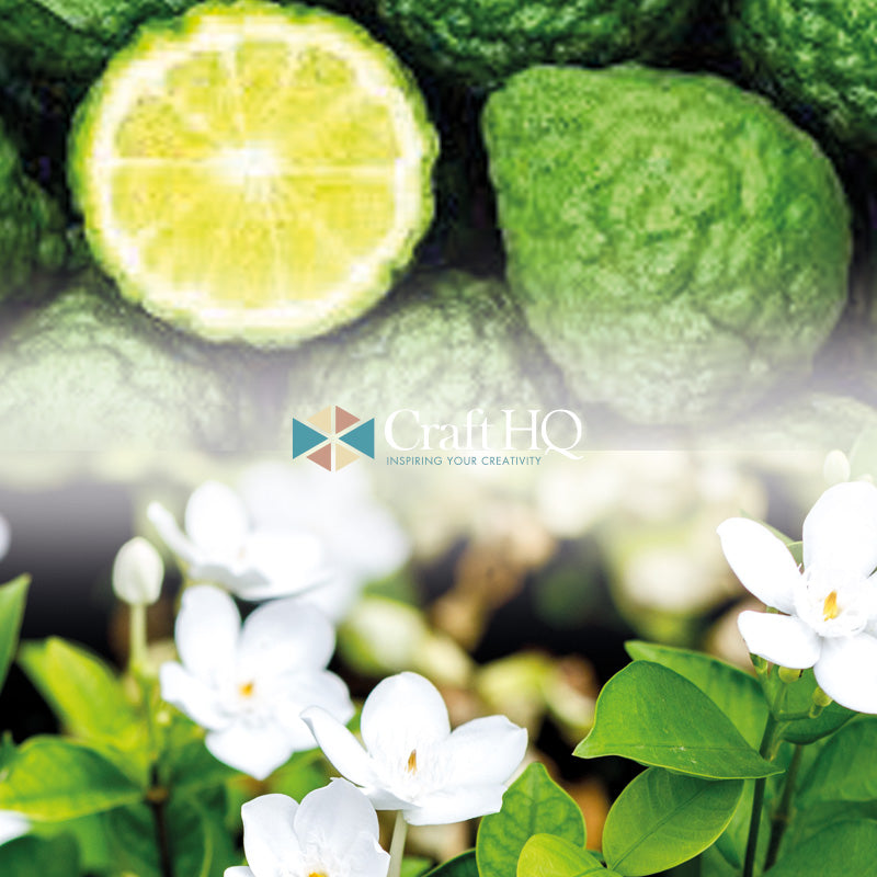 Bergamot, Lemon & Jasmine Oil | Craft HQ